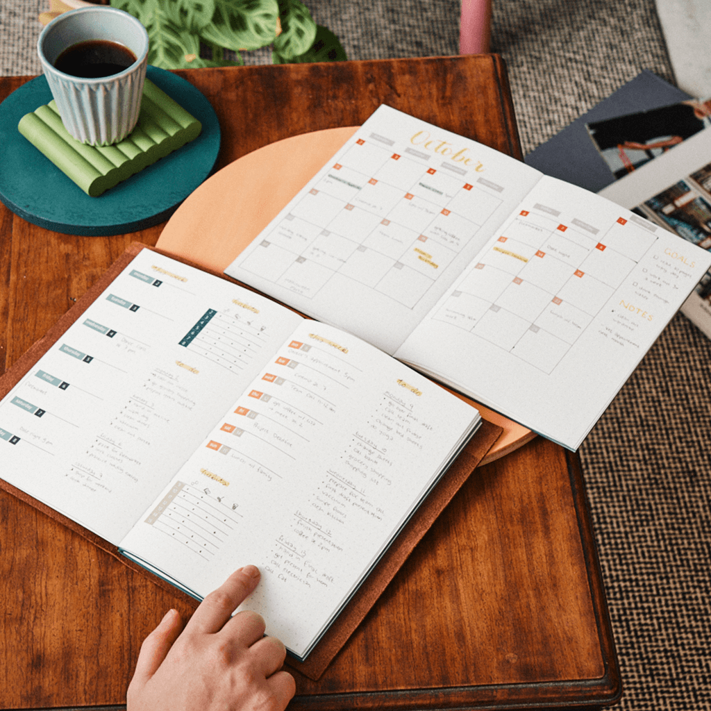 the DoJo system – paper republic