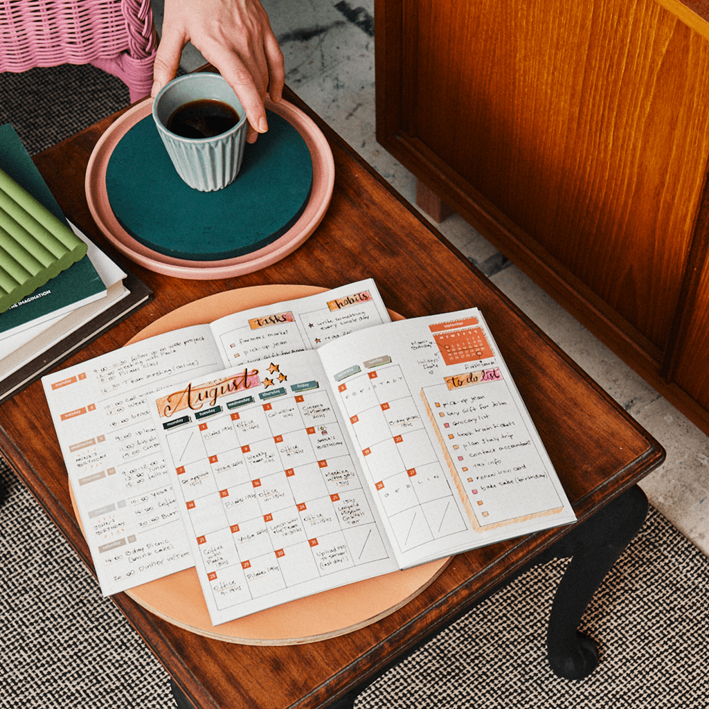 the DoJo system – paper republic