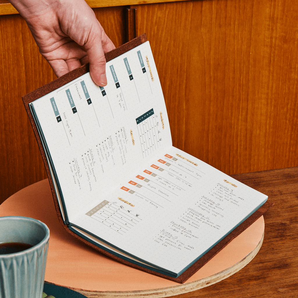 the DoJo system – paper republic