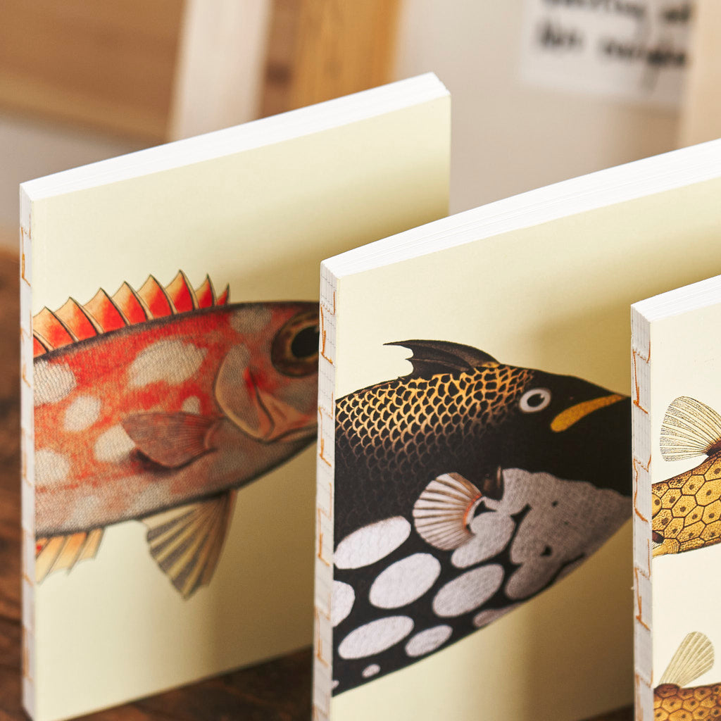 book refill x The Dybdahl Co. – paper republic